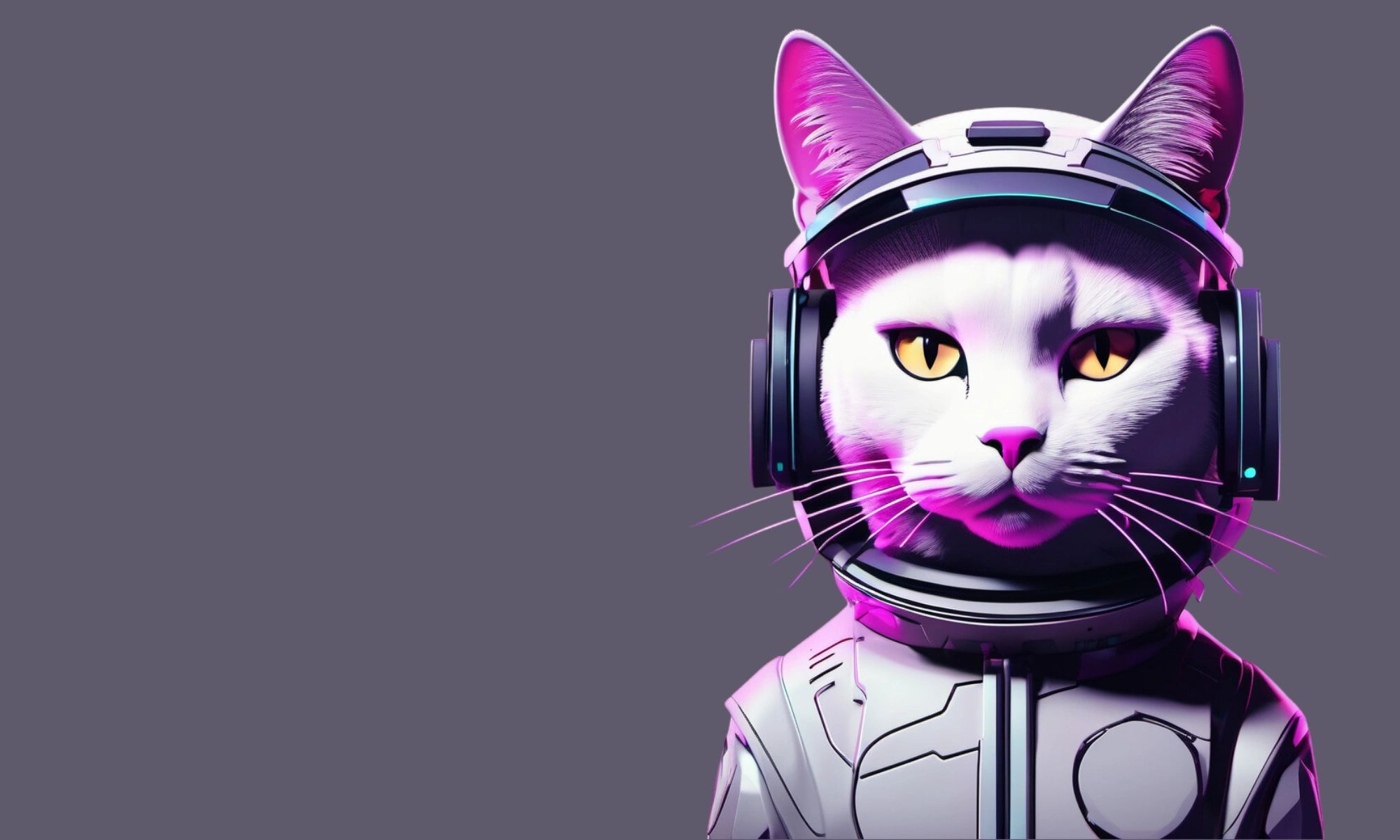 Killer Graphic Design | Space Cat Designs