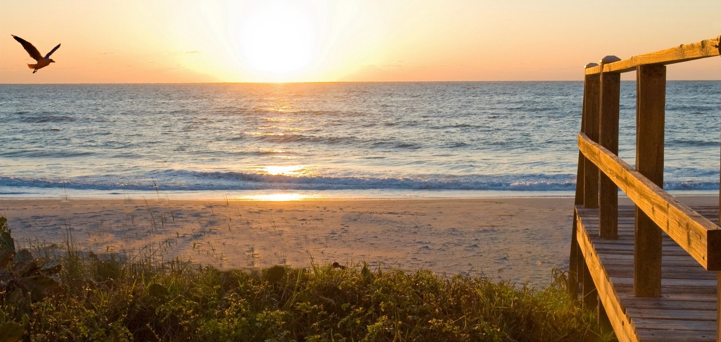 Gallery | Outreach on da Beach