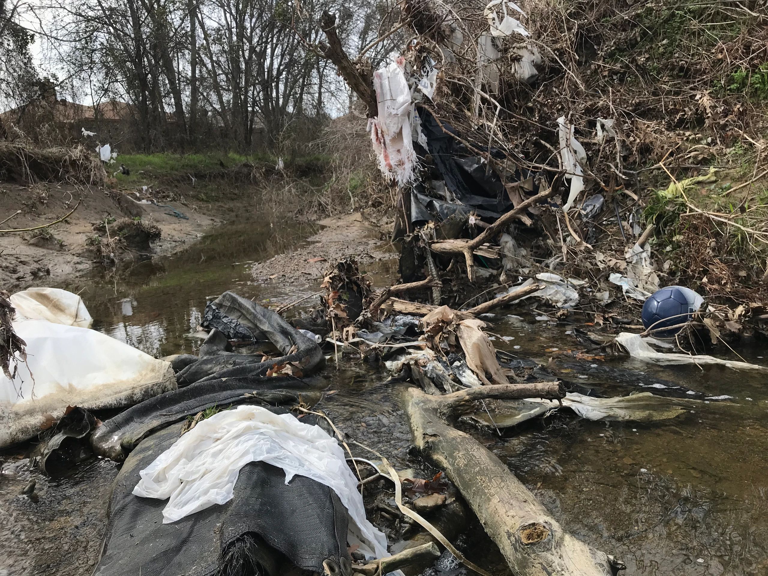 CleanUp Challenge - Environment, Volunteer, Community Service