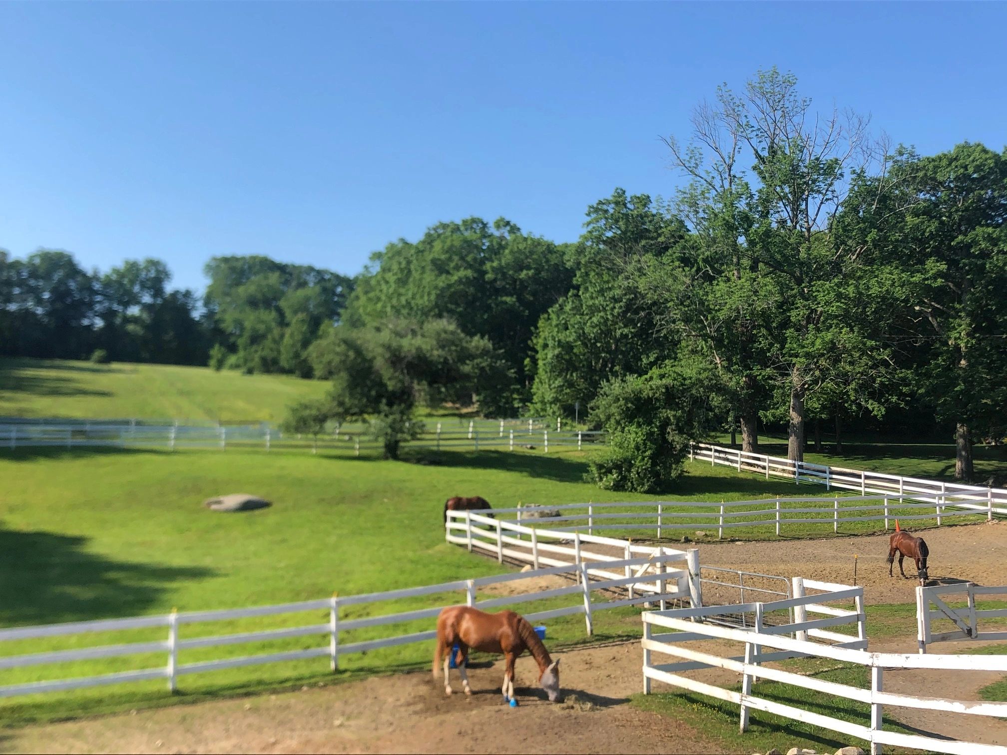 History of Fuller Farm