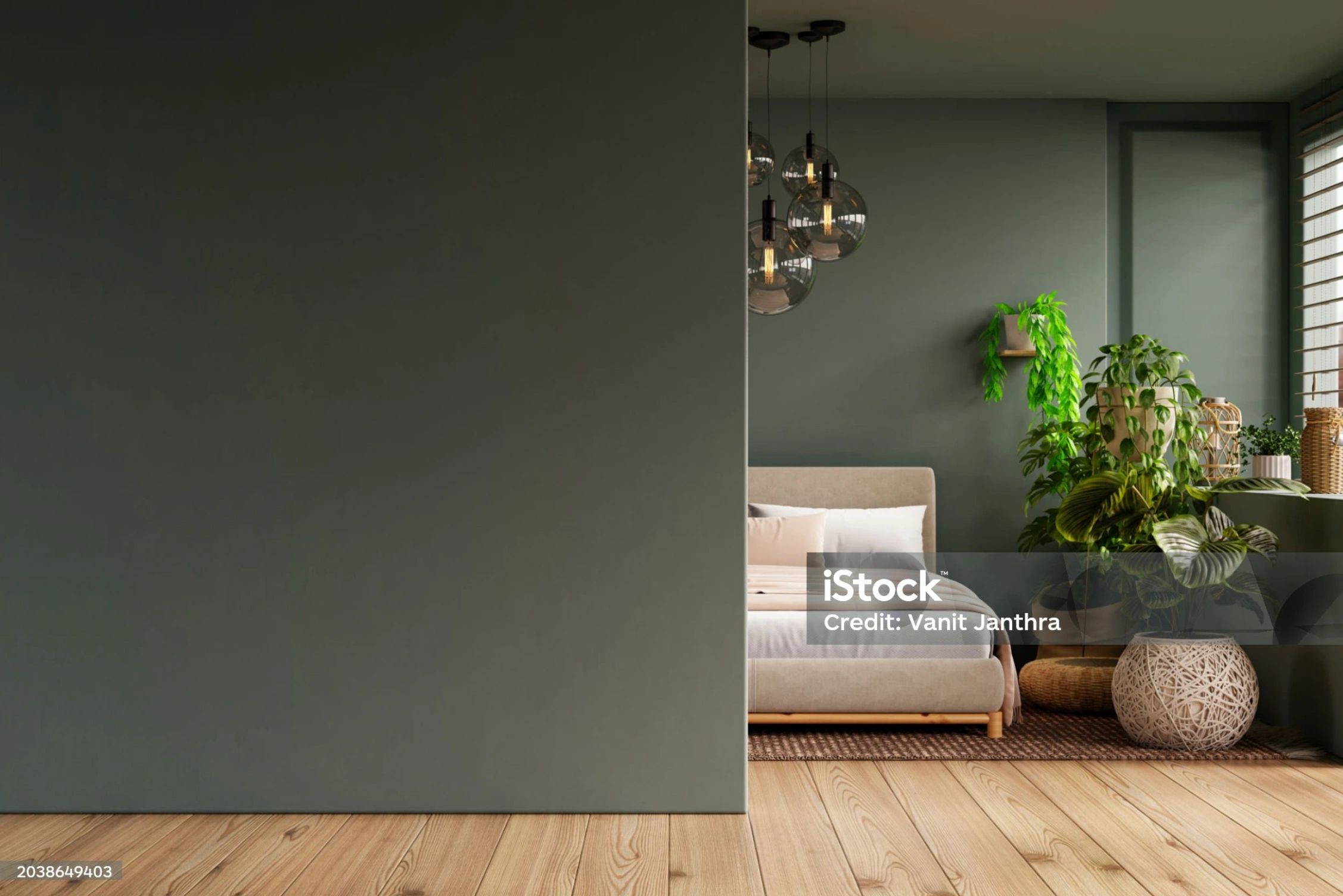 Timber Dazzle
