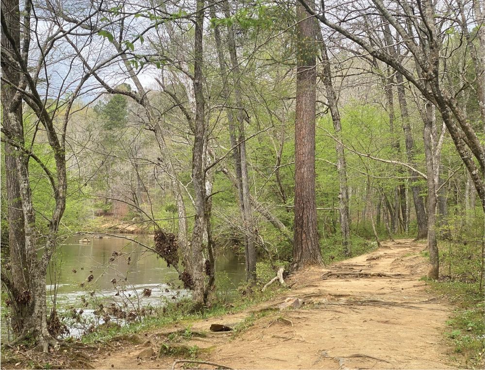 Expert Wayfinding Design Services