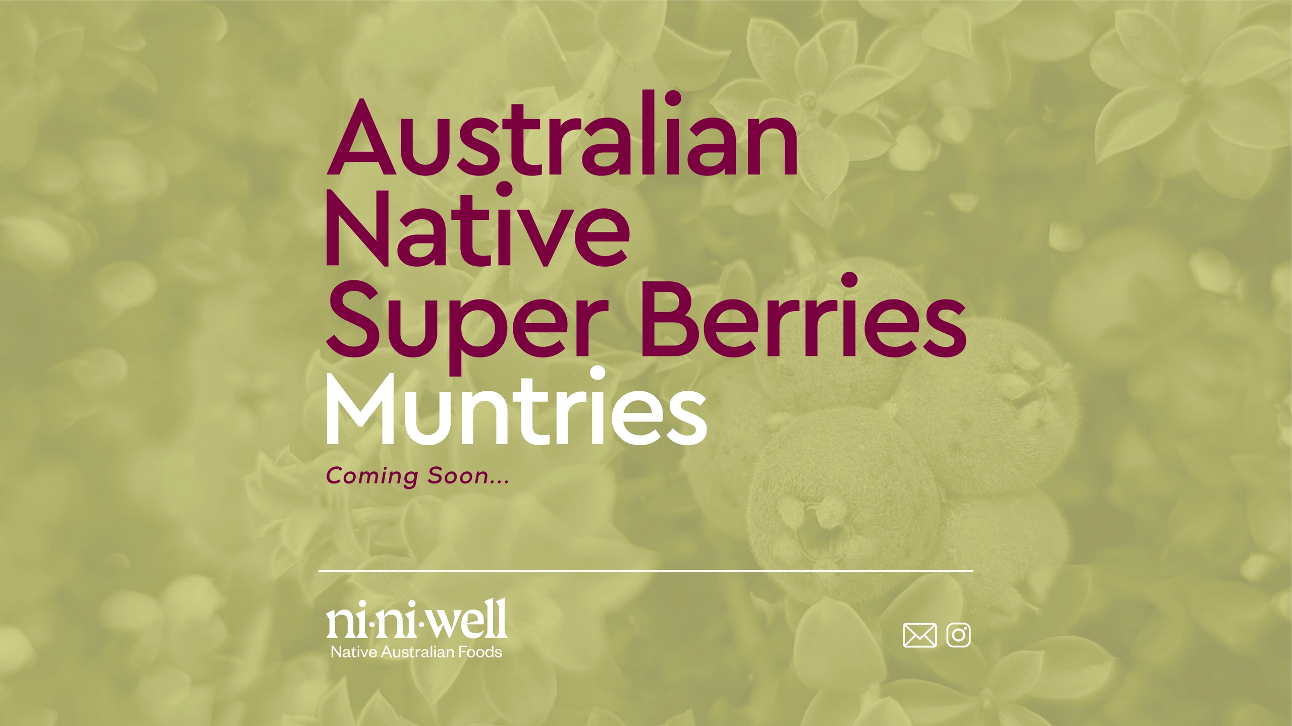 Ni Ni Well Native Foods