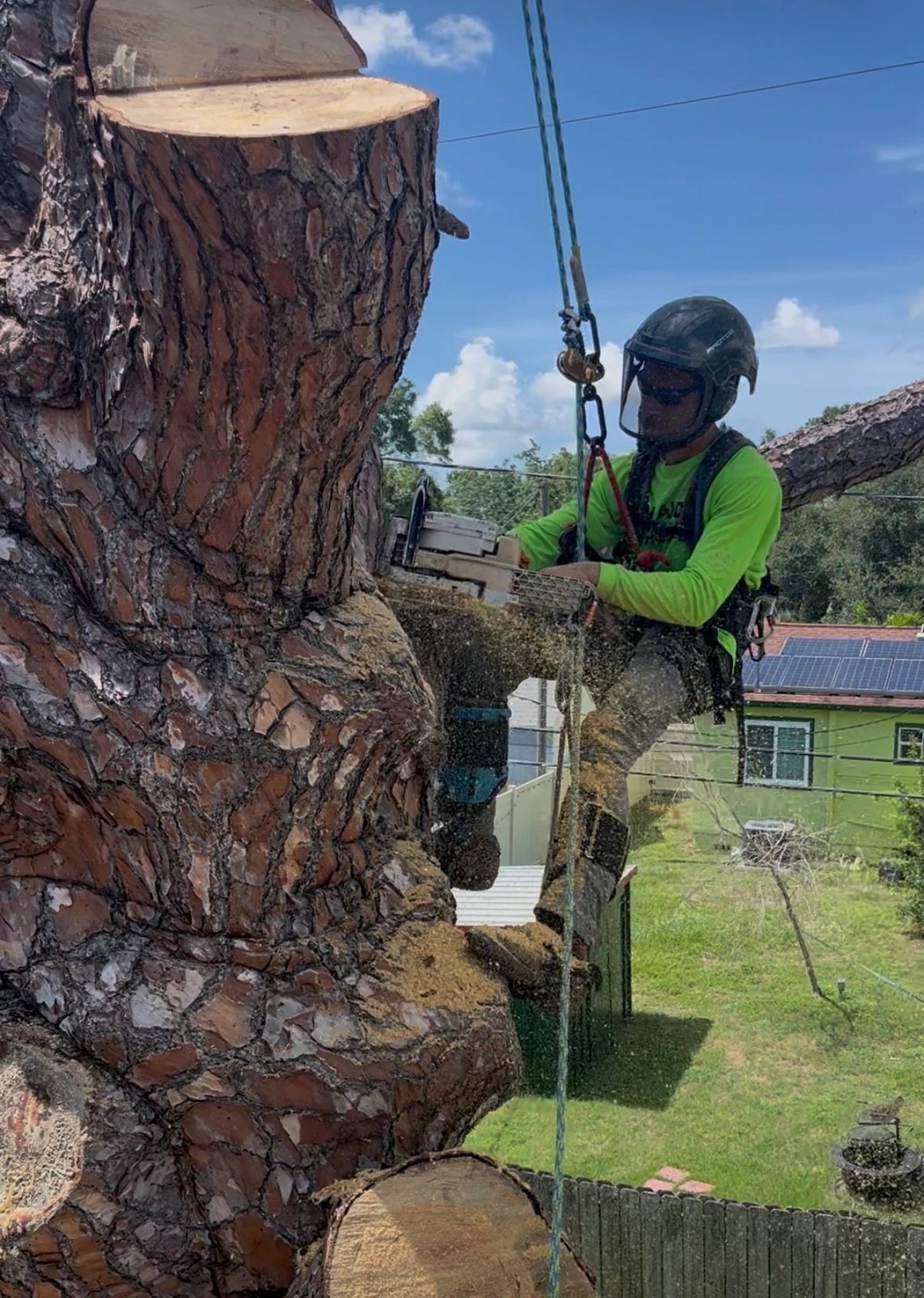 Expert Tree Care Services by Valdez Tree Services