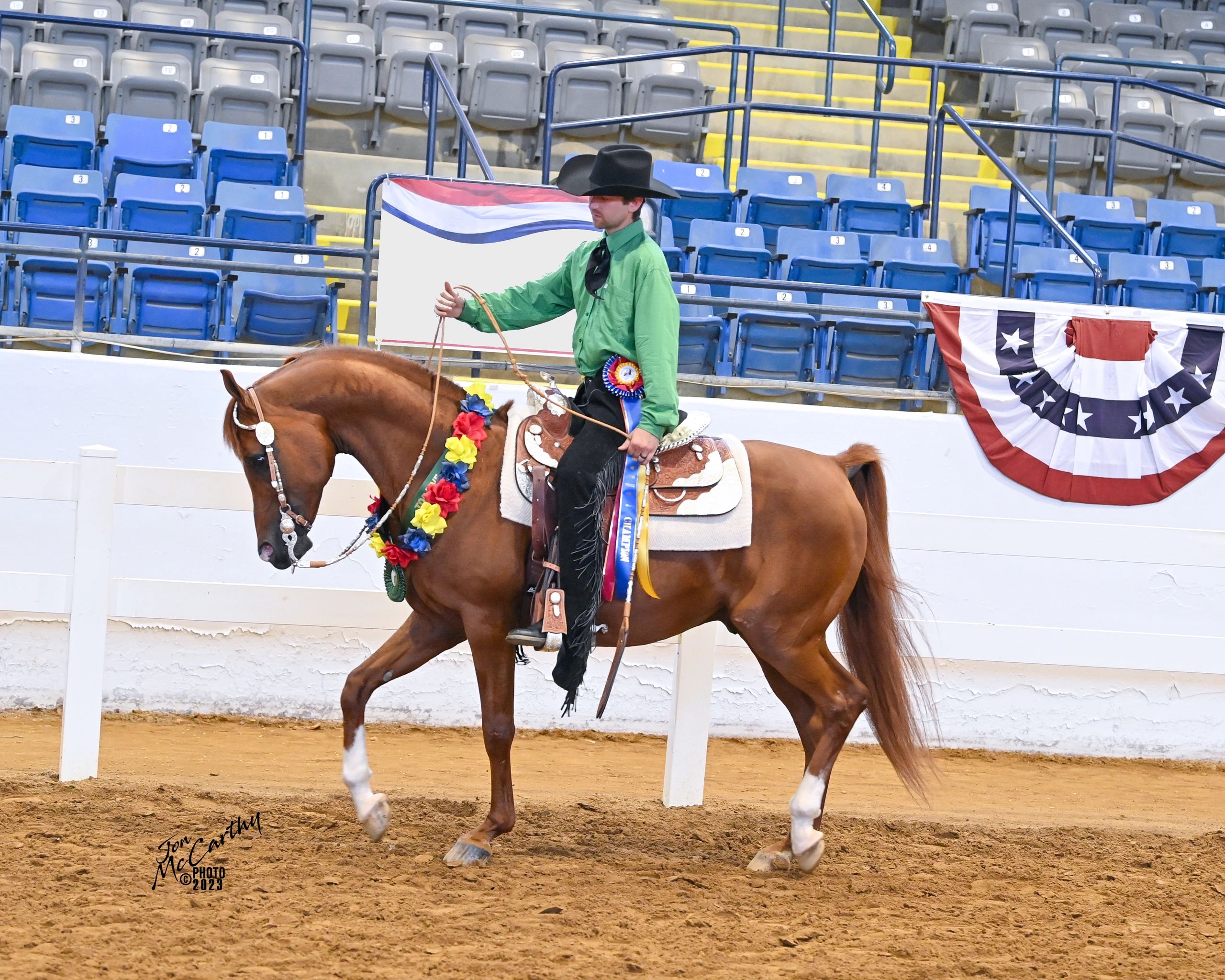 Noel Performance Horses LLC