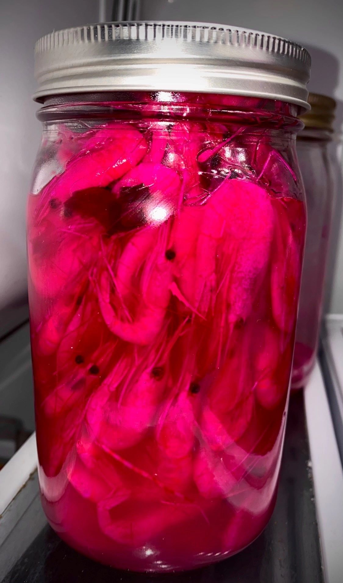 Plunking Winter Steelhead - Columbia River Ultimate Shrimp Cure