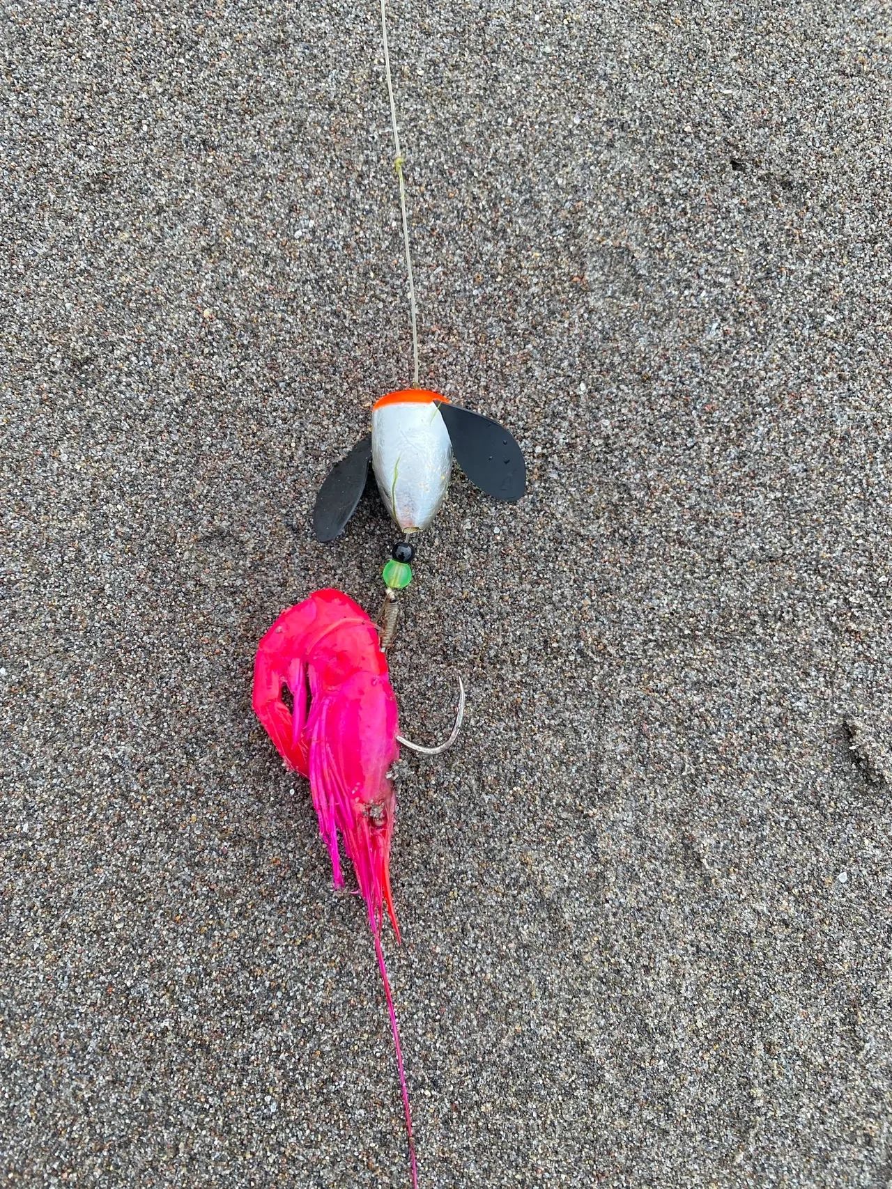 Coonshrimp Spring Chinook