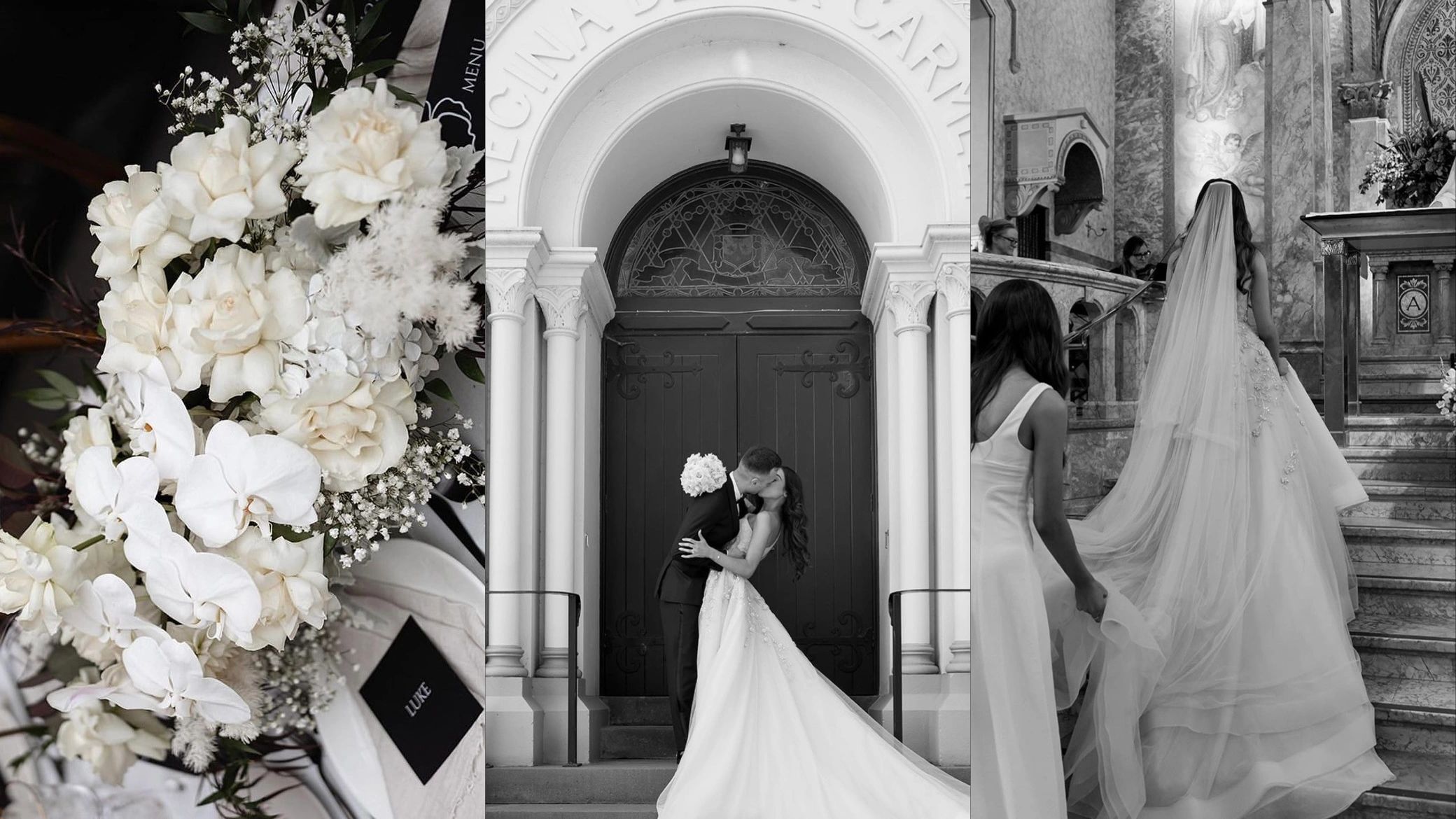 Packages | WHITE MOMENT