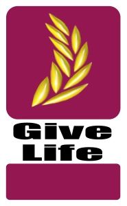 Give Life, Inc - Career Success, People of Color