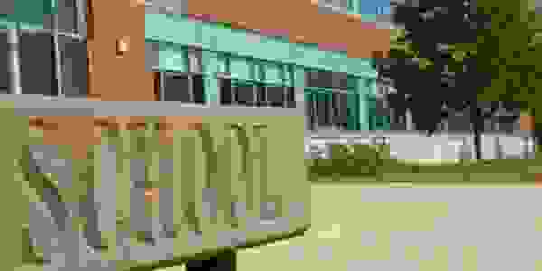 Eagle Bus Service - Student Transportation, School Bus