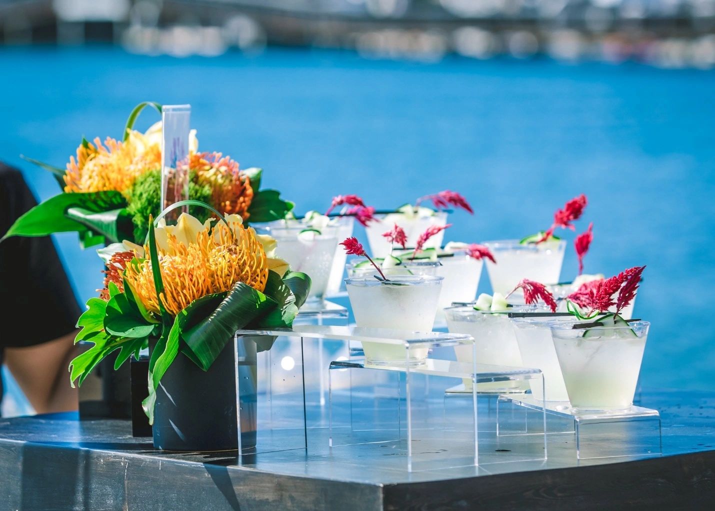 Experience the 2024 Pacific Wine & Food Classic
