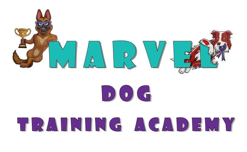 Professional Dog Training Services | Marvel Dog
