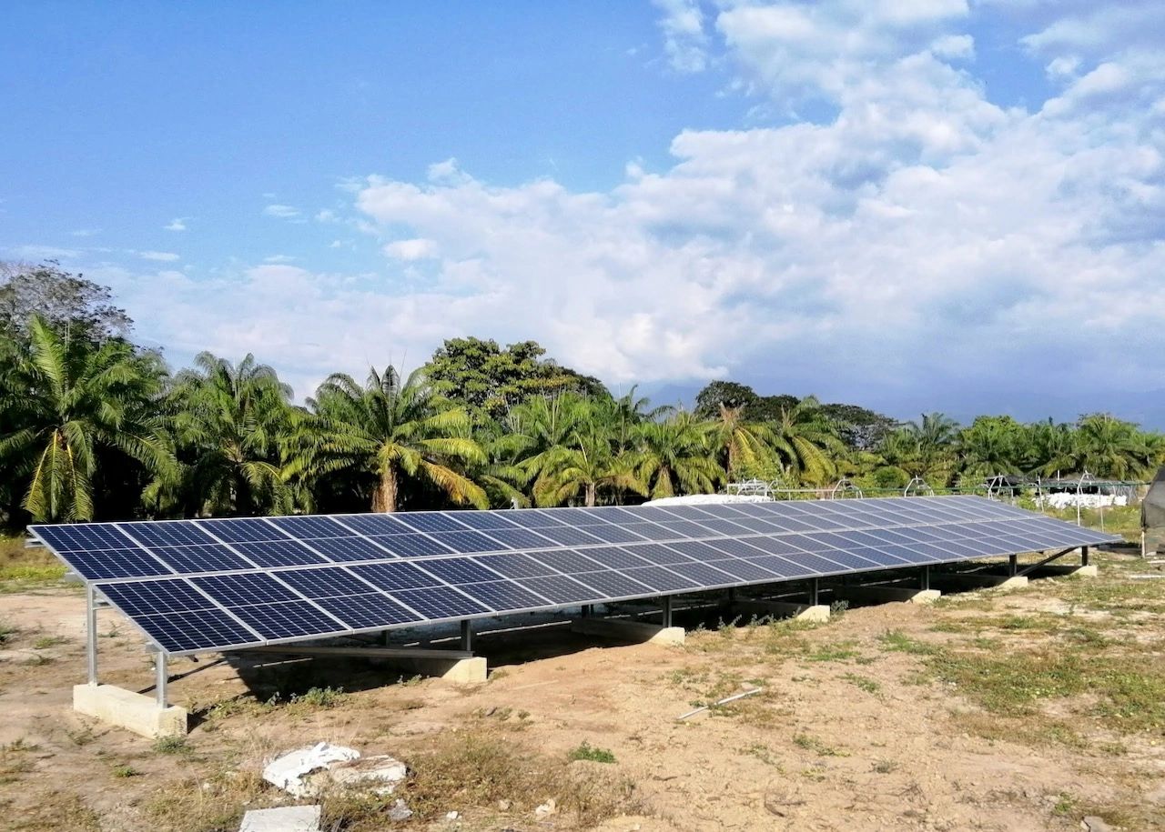 Cómo implementar paneles solares en una bananera?