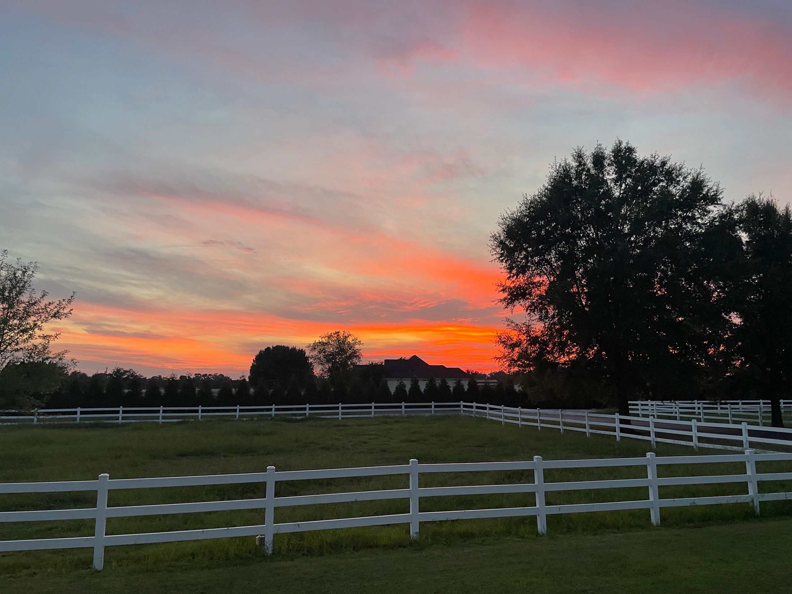 landofgrace.farm