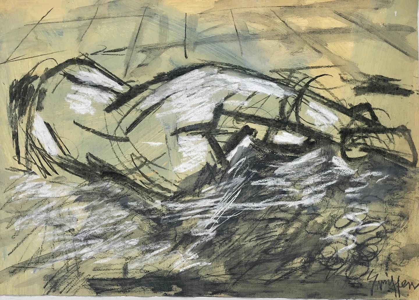 HOME [petergriffen.com]