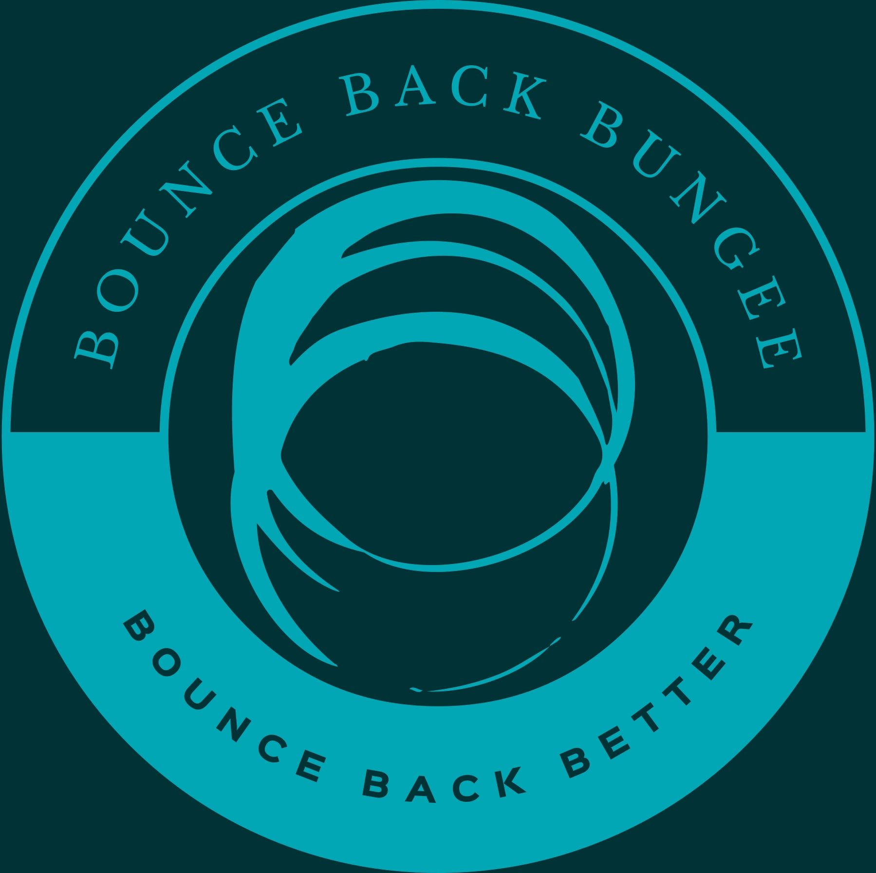 Bounce Back Bungee