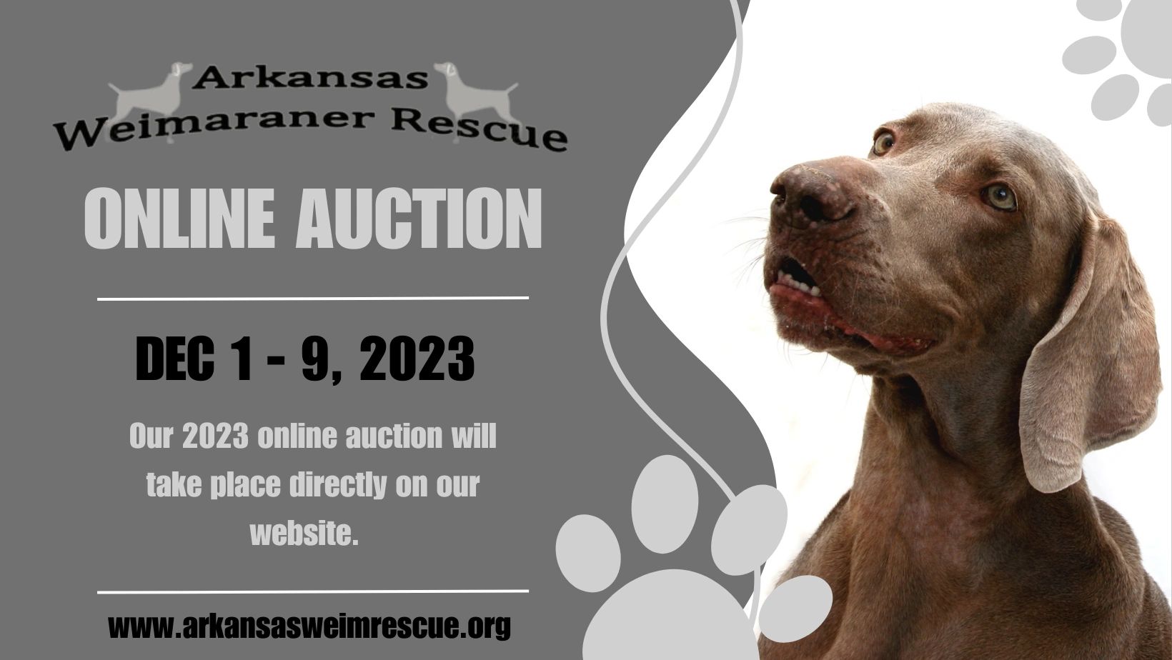 Arkansas Weimaraner Rescue