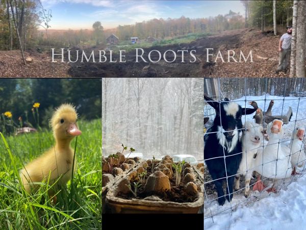 Humble Roots Farm