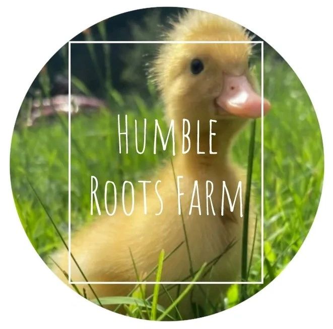 Humble Roots Farm