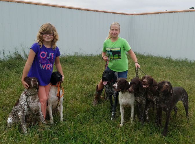 Shotgun Pointer Kennel