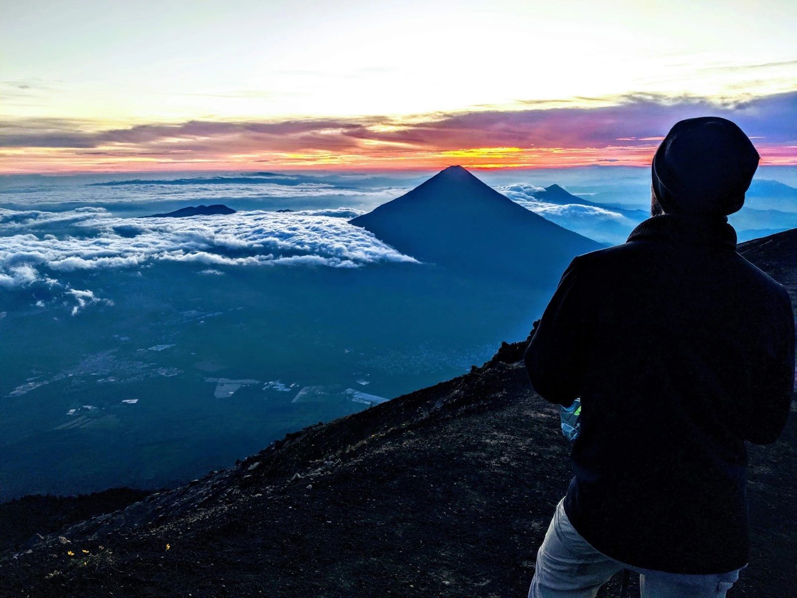 Carton Group Consultants