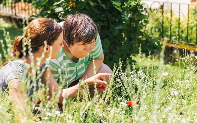 Services | BuzzWell Homes