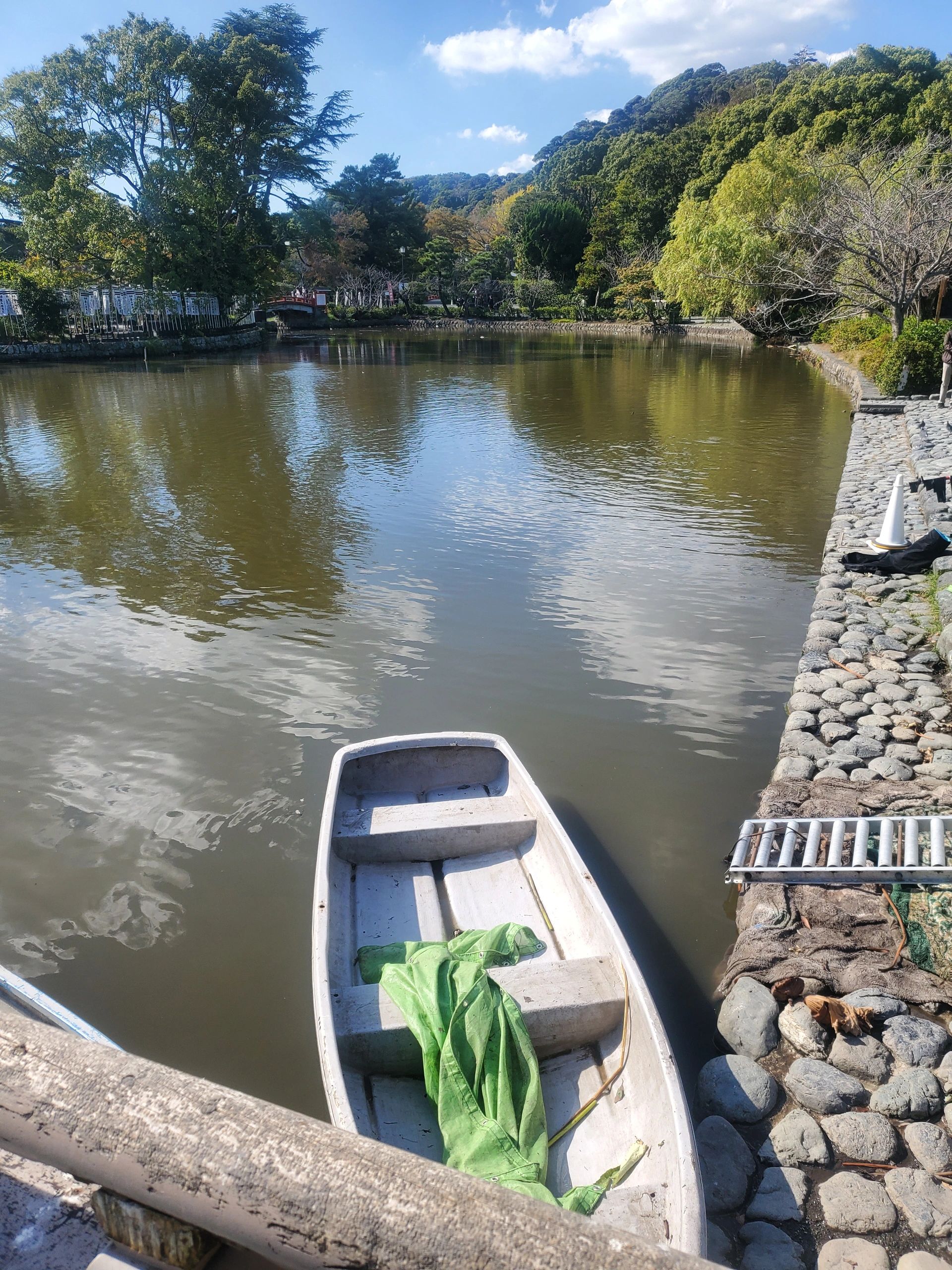 Taking an Out of Programme Experience-is it worth it?