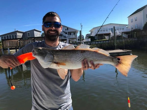 Murrells Inlet Fishing Charters | Reel Salty Fishing Charters Myrtle Beach