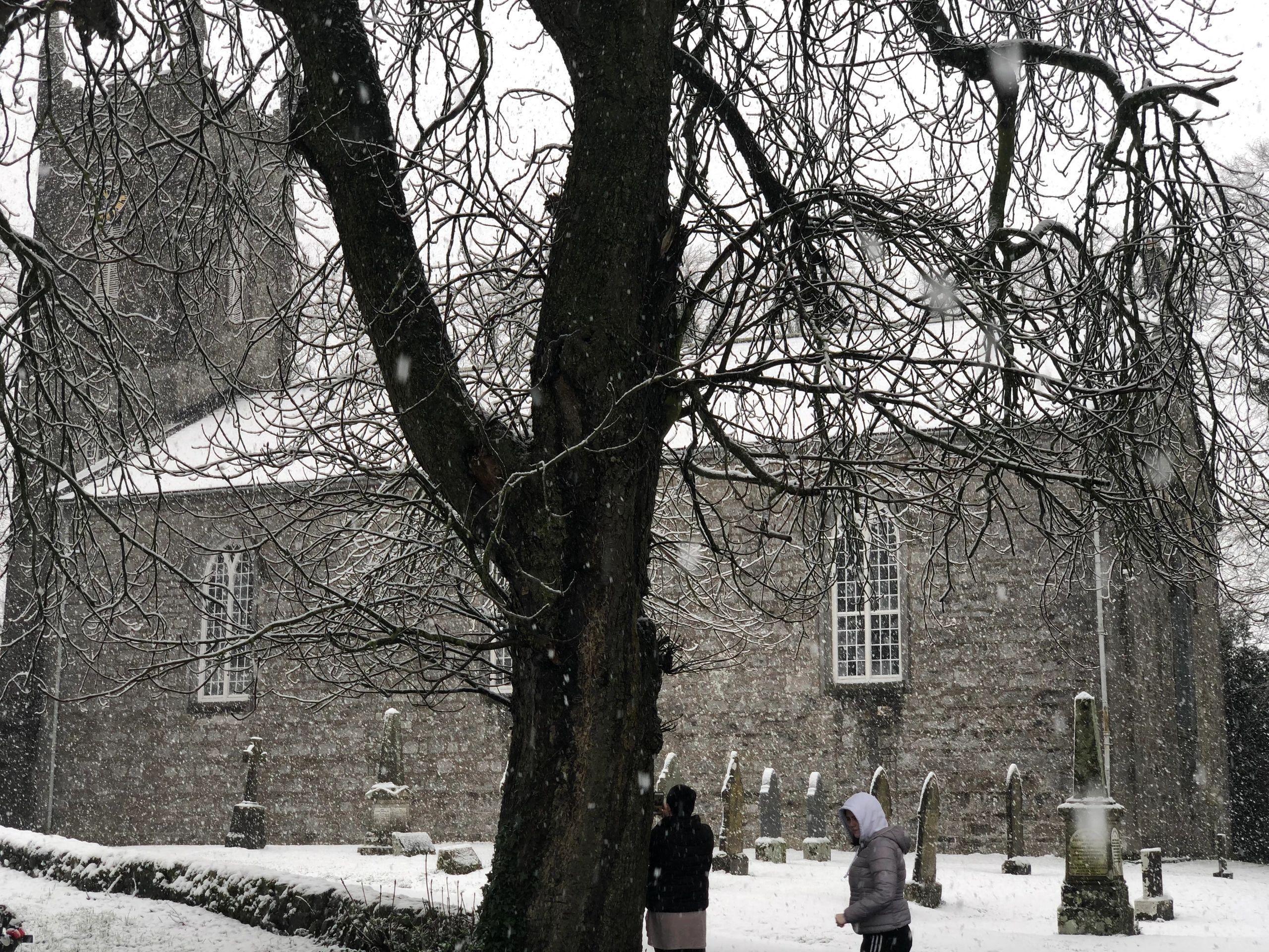 Discover the Rich Heritage of Shinrone