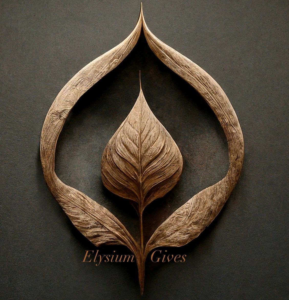 Elyse Bensusan: Supporting Charity Collections