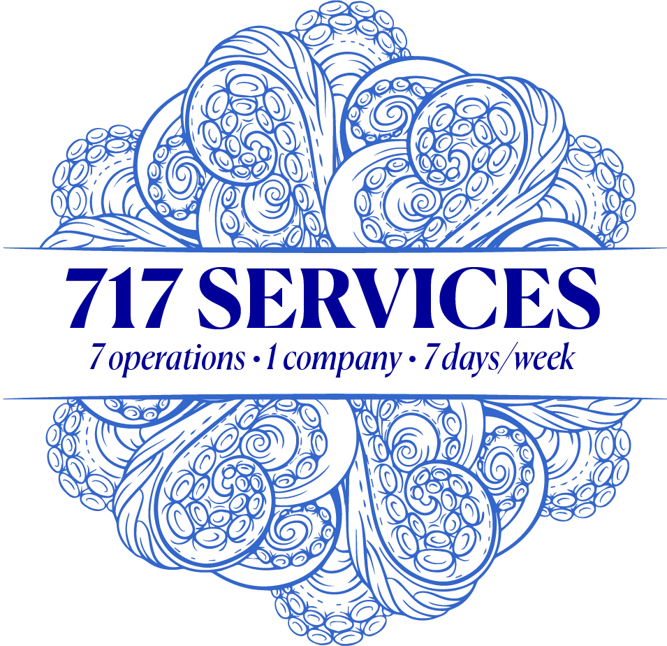 Expert Investigations for Organizations | 717 Services