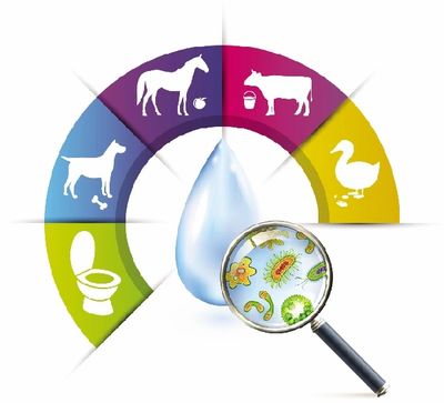Microbial Source Tracking | Helix Biological Laboratory