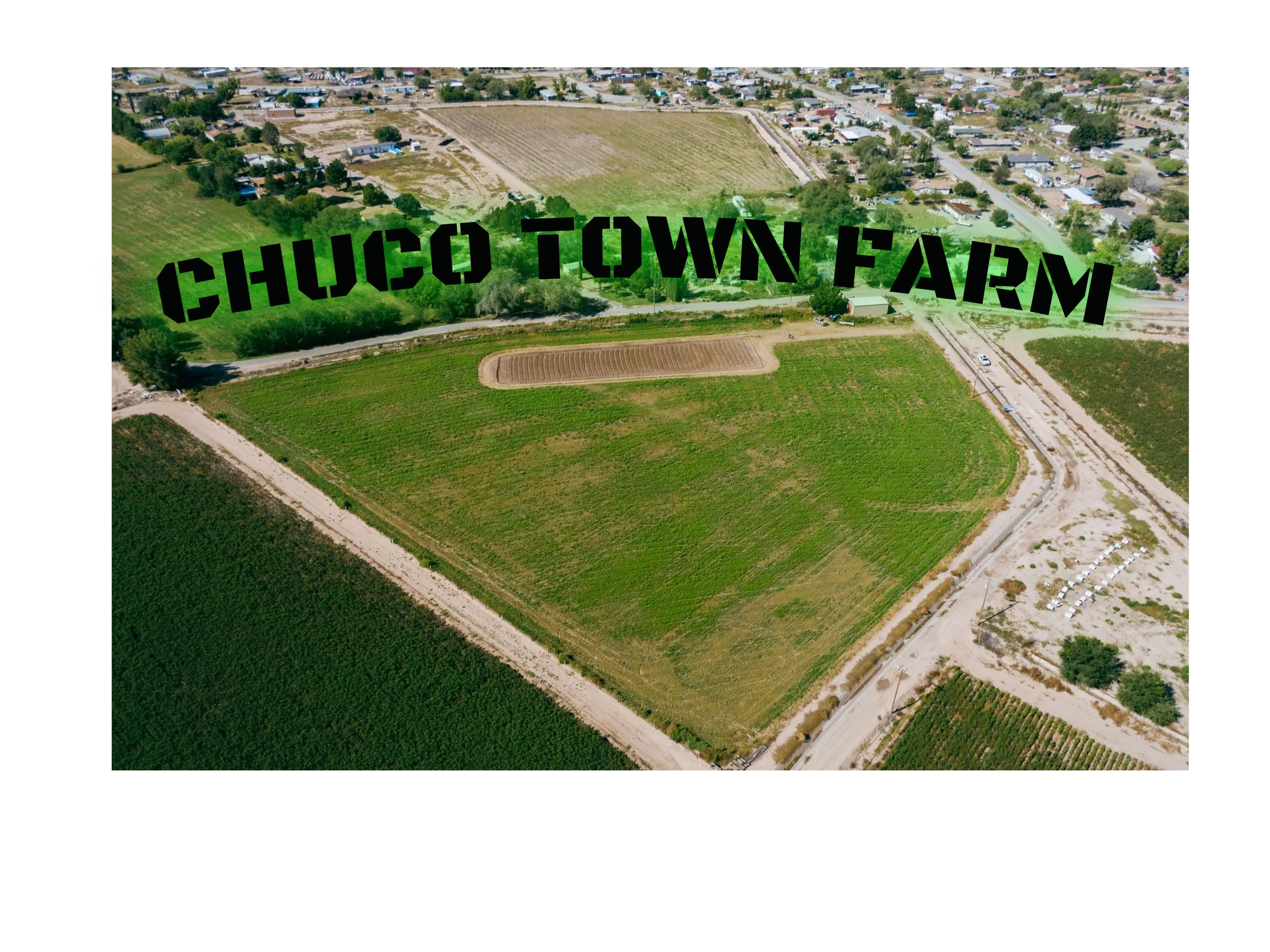 Locally Grown Produce at Chuco Town Farm