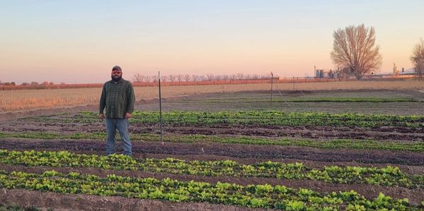 Locally Grown Produce at Chuco Town Farm