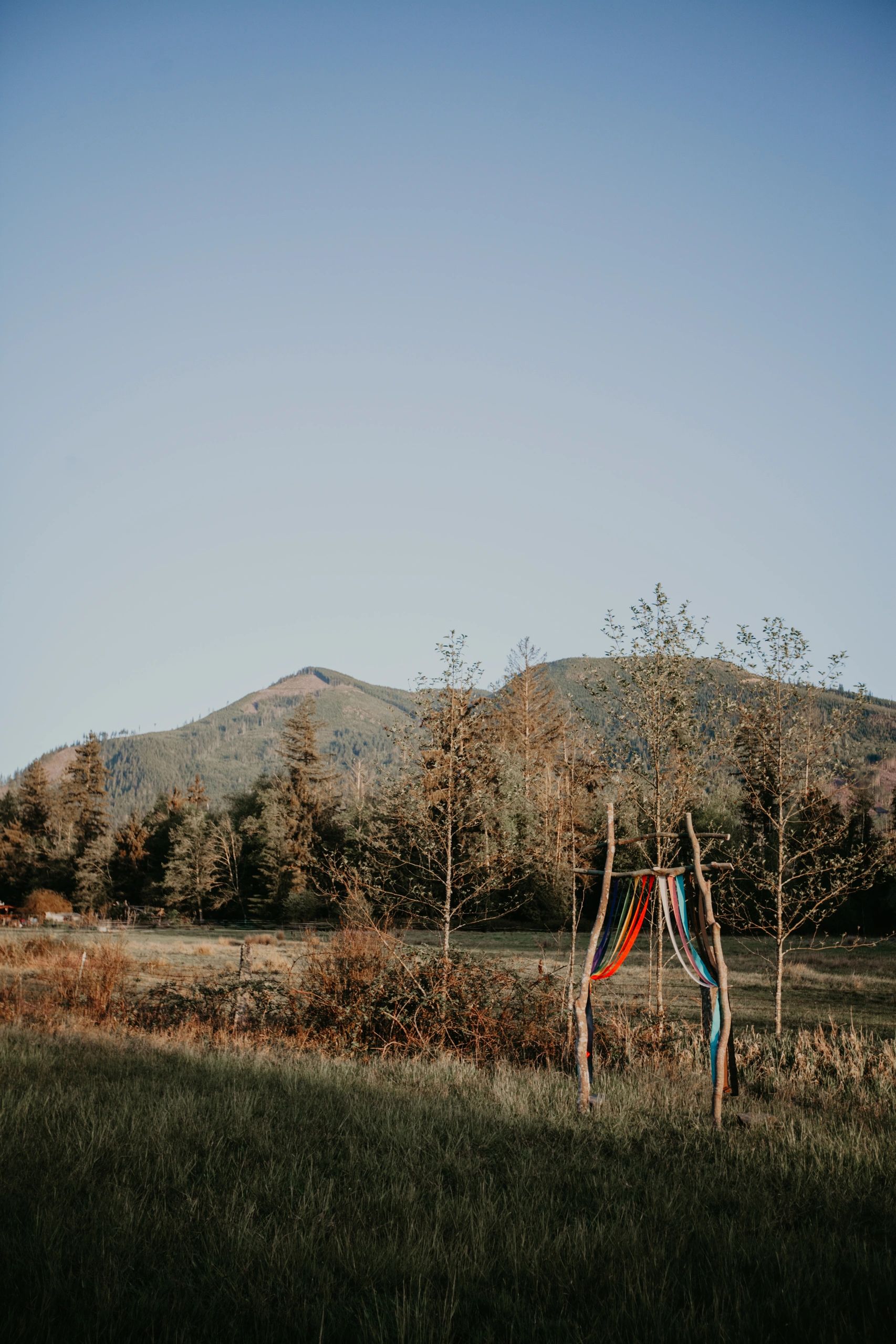 The Field | A&K Alder Farm
