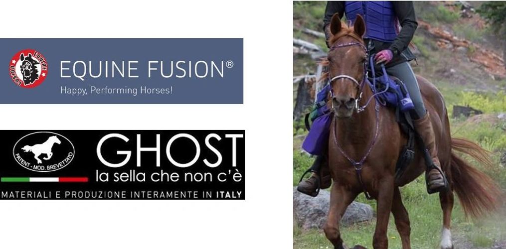 Equine Karma - GHOST treeless saddles and Equine Fusion jogging shoes ...