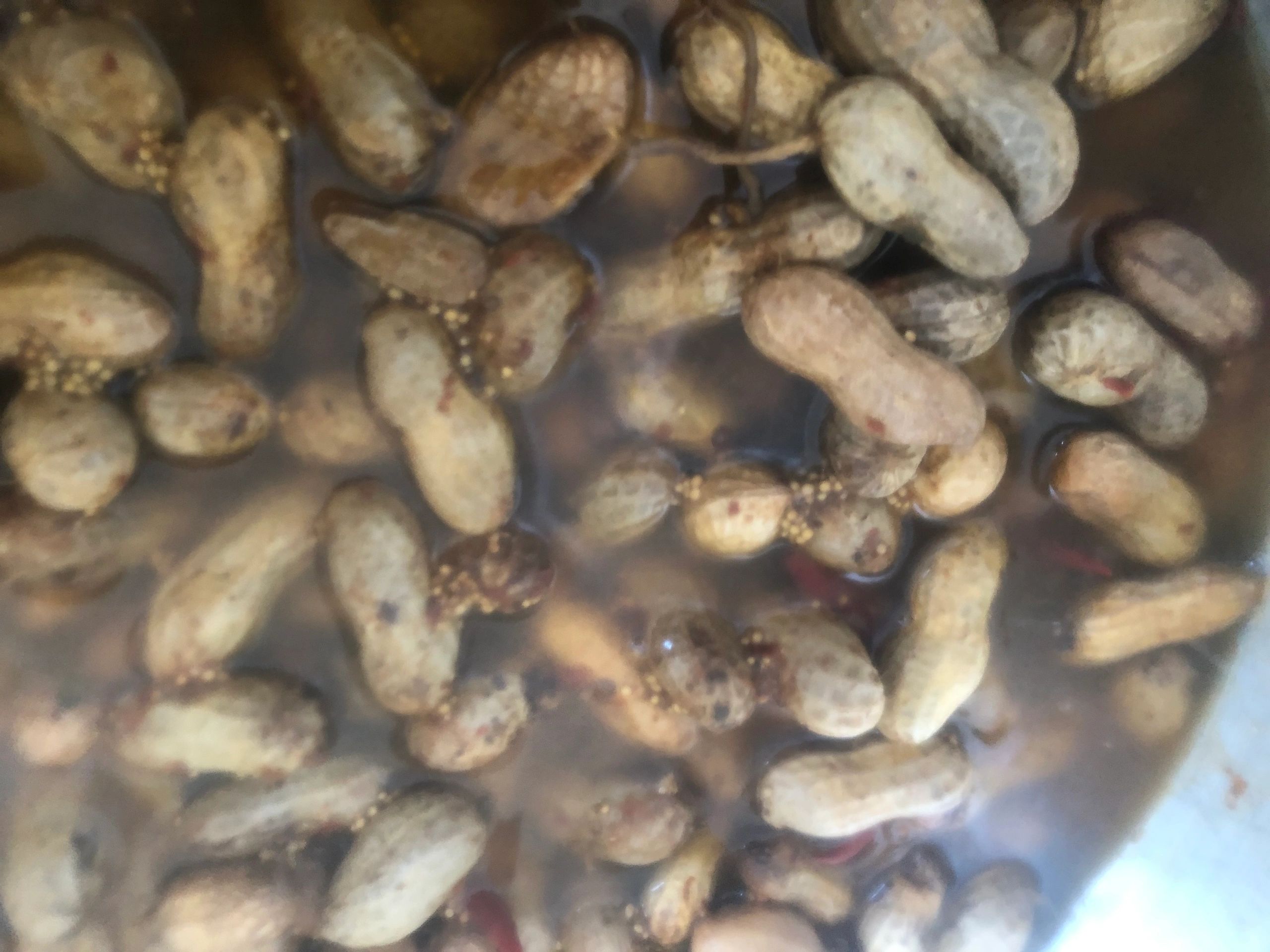 Hendricks Sak O' Nutz - Home