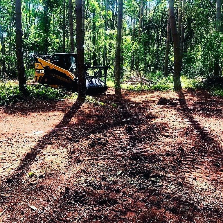 Timber Removal - Rofelo Forestry Limited