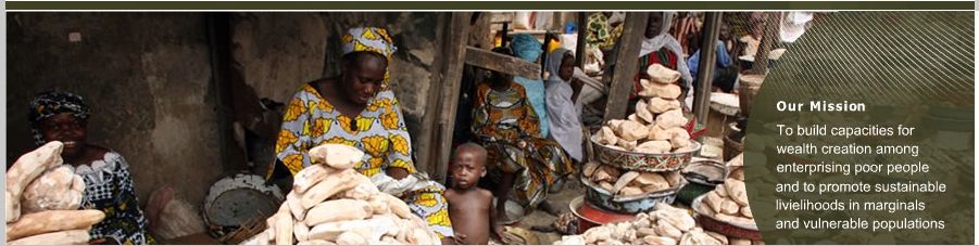 Our Programmes | website