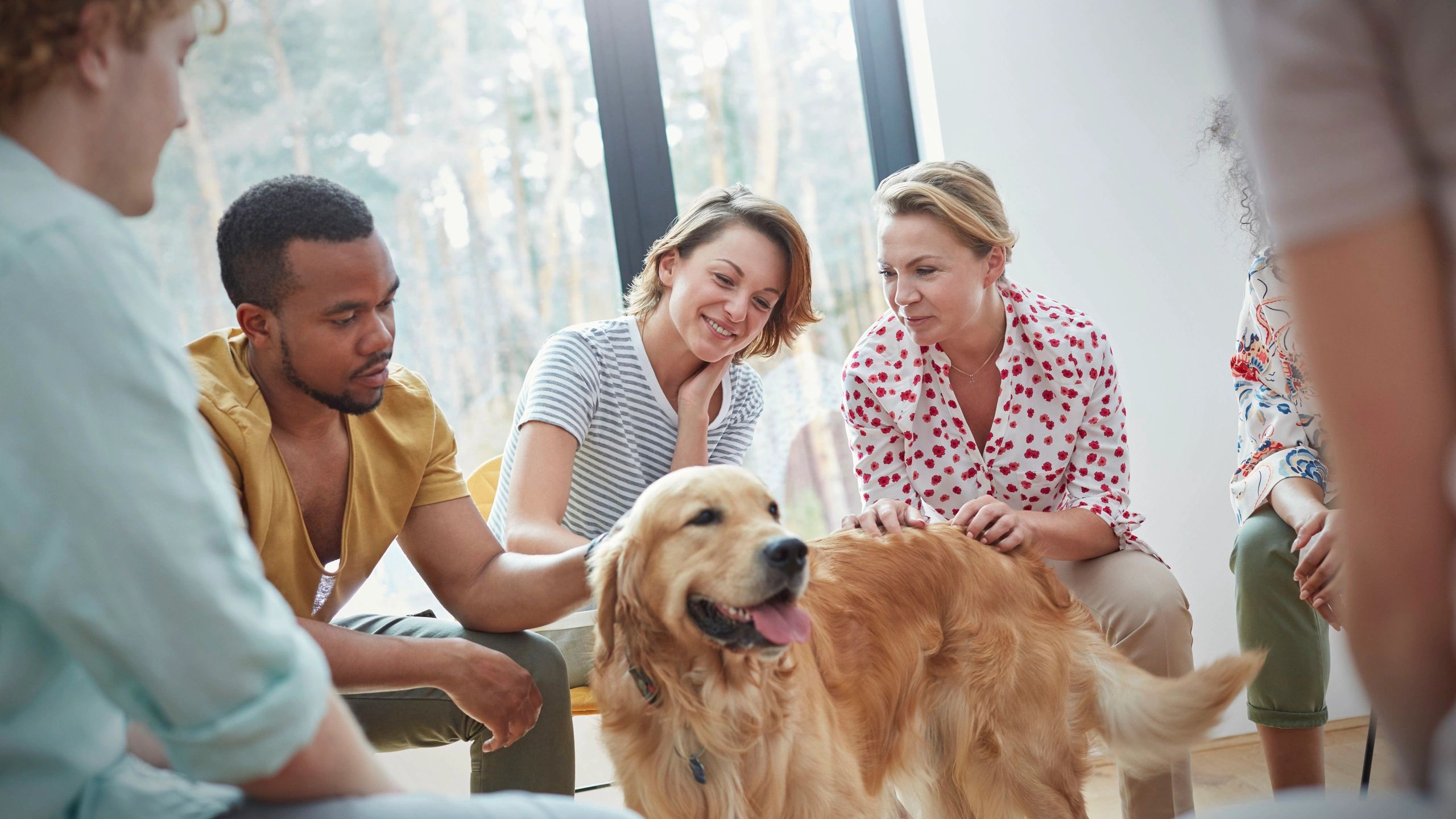 What really happens in an Animal Therapy Session?