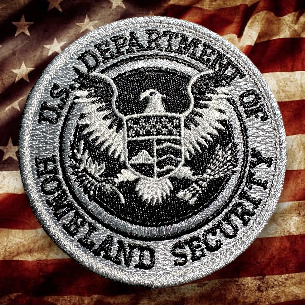 Subdued Department of Homeland Security DHS Seal Patch