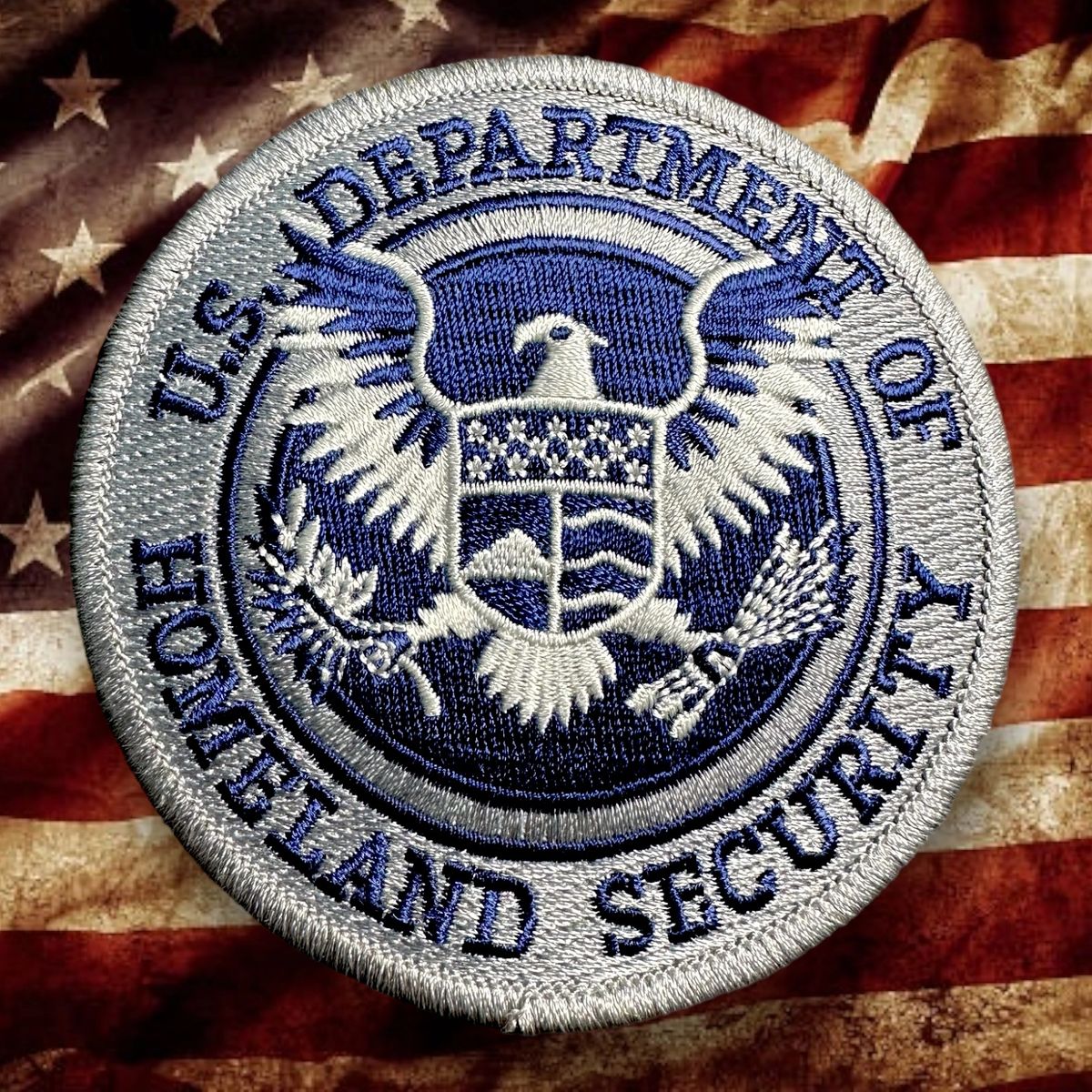 Subdued Department of Homeland Security DHS Seal Blue & Gray Patch