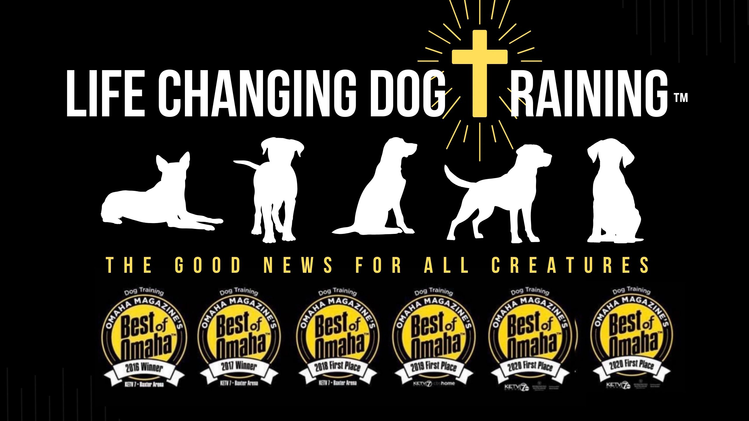 HOME [lifechangingdogtraining.com]