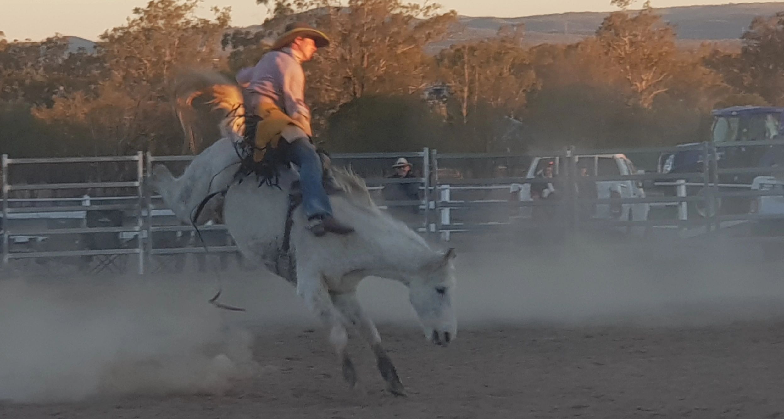 Show Schedule | Texas Show Society