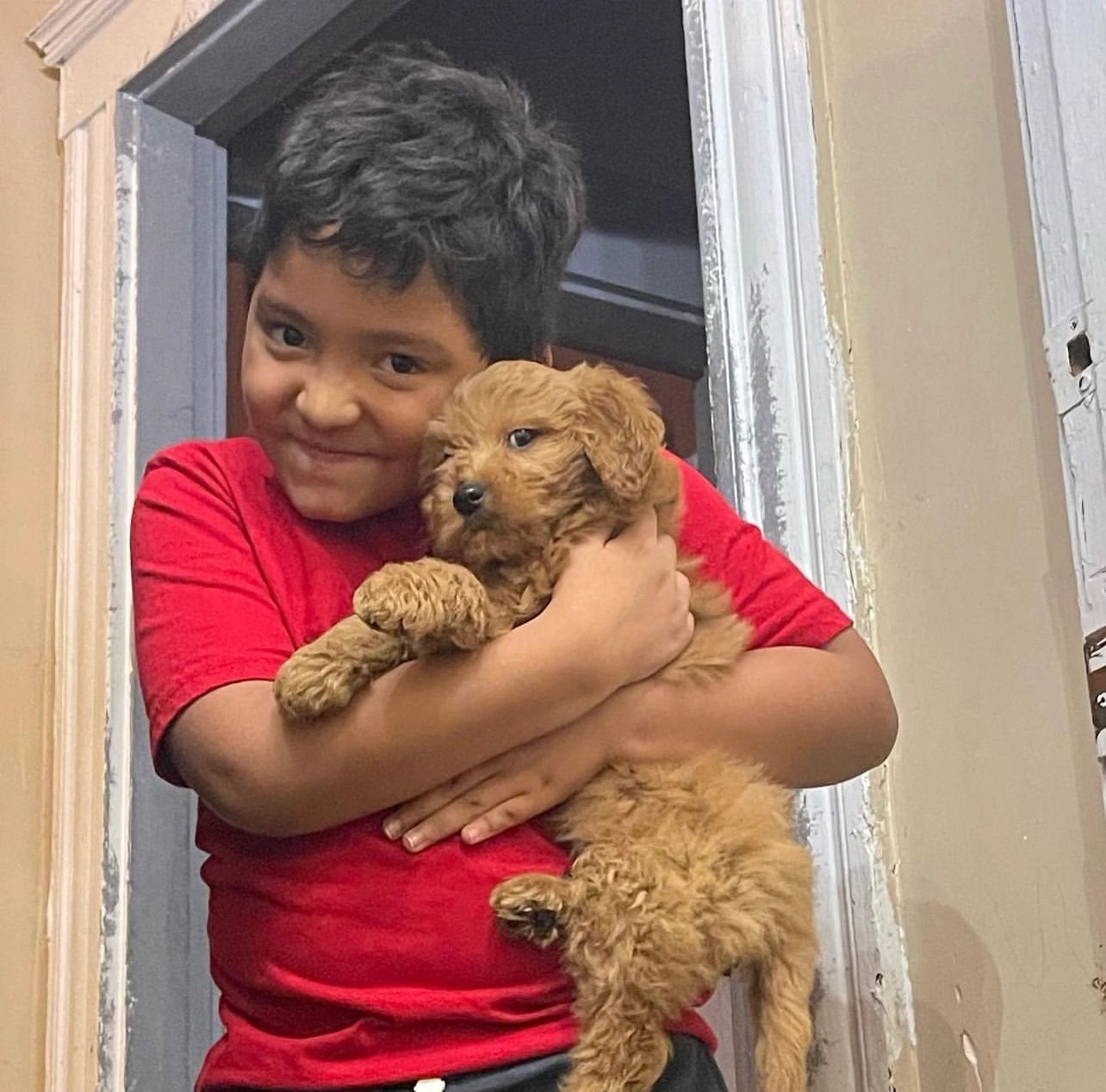 Found FURever homes | Massachusetts FURever puppies