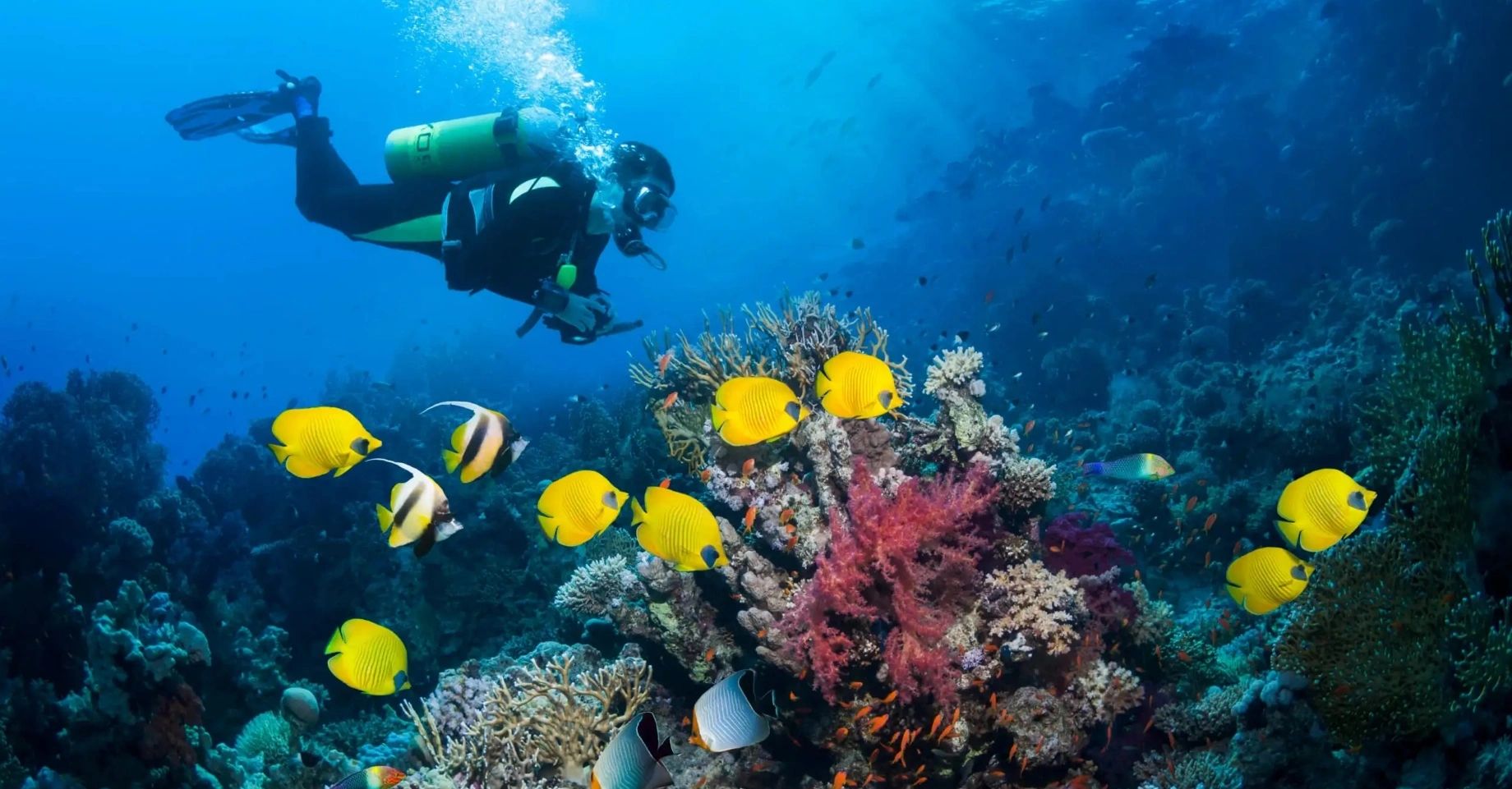 Depth Perception Dive Center - Scuba, Scuba Diving, Scuba Certification ...