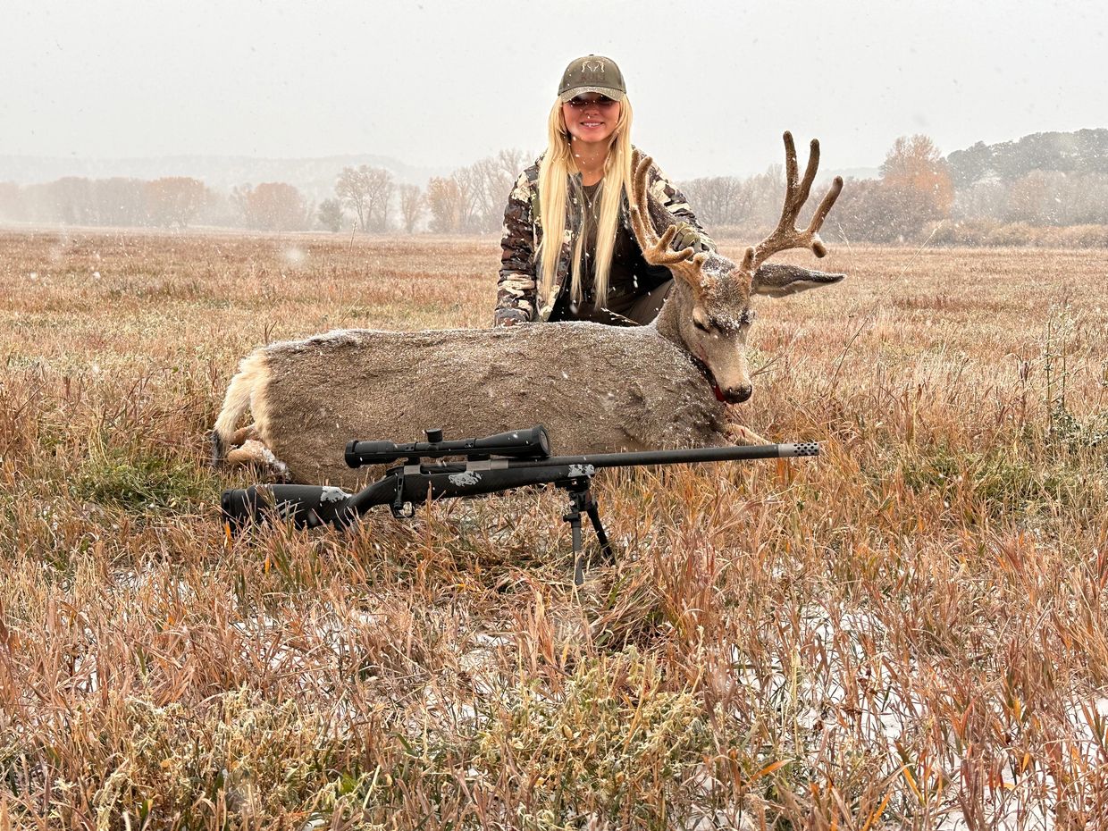 Mule Deer | Dry Creek Ranch