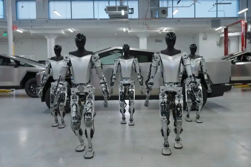 Elon Musk Video Reveals Tesla Bots in Action