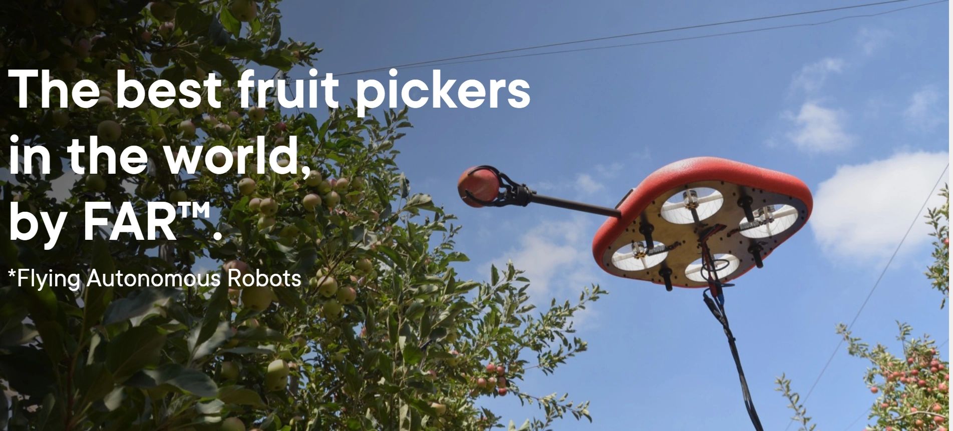 Tevel Aerobotics Autonomous Fruit Harvesting Robots