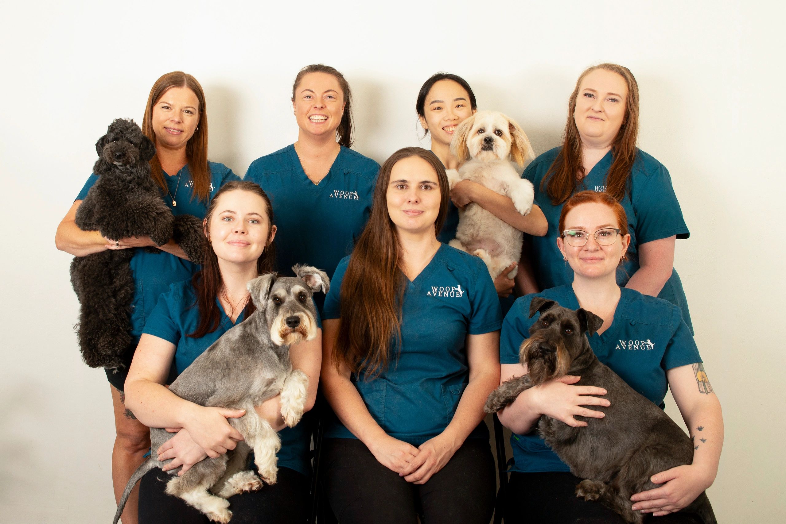 Contact Us | Woof Avenue